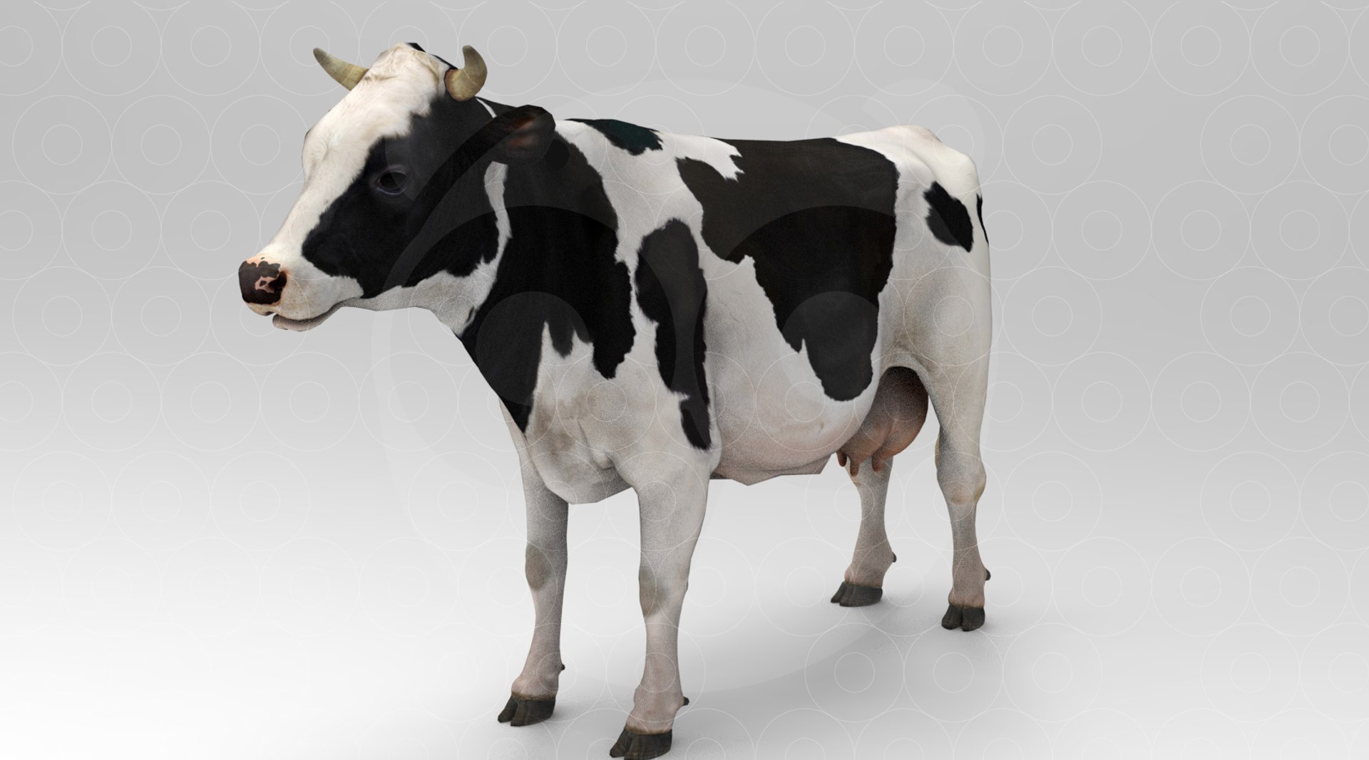 3D Milk Cow - Animated Model - TurboSquid 2110186