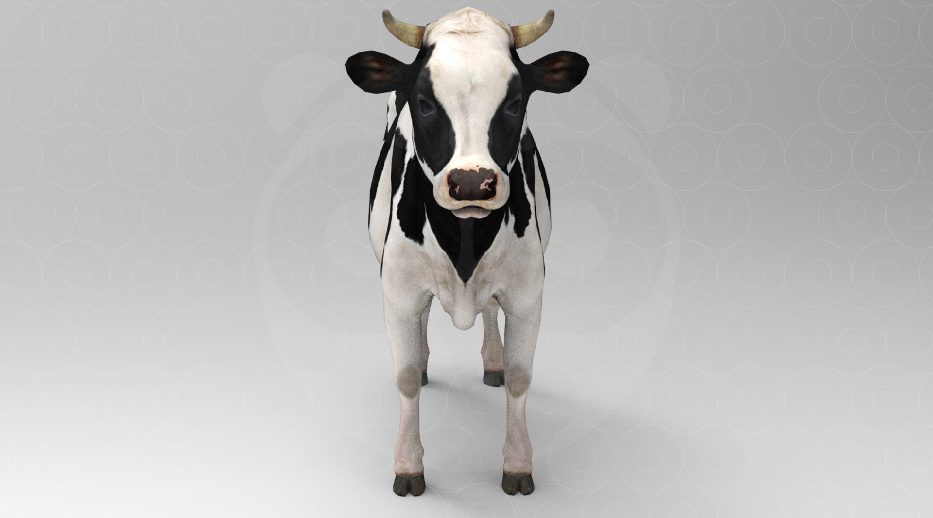 3D Milk Cow - Animated Model - TurboSquid 2110186