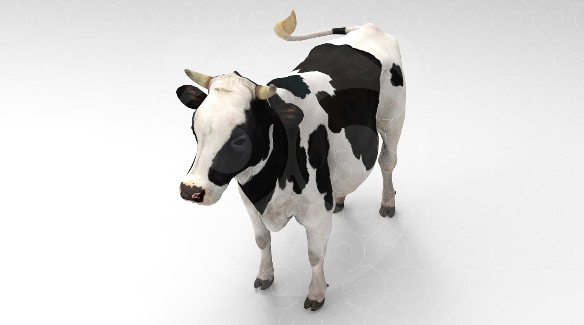 3D Milk Cow - Animated Model - TurboSquid 2110186
