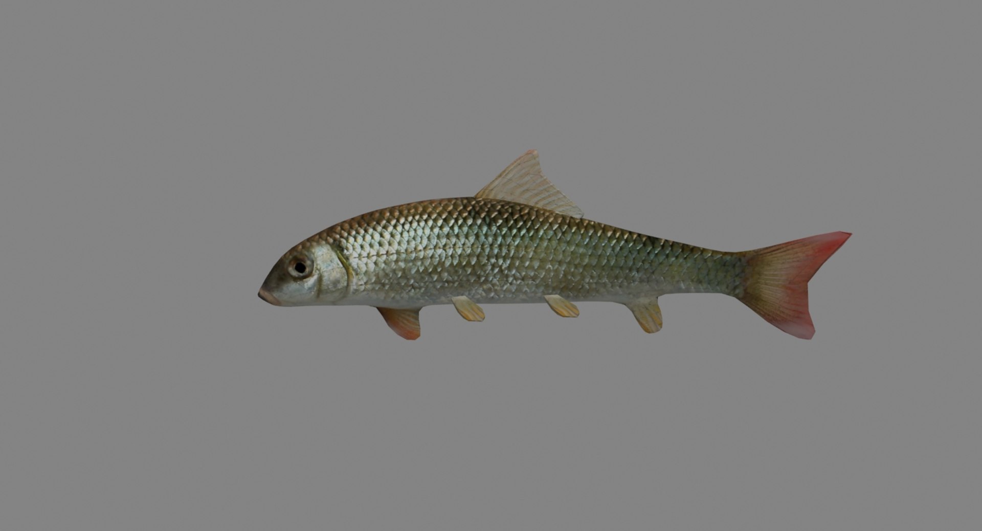 3D Model Low-poly Vr Ar - TurboSquid 1216818