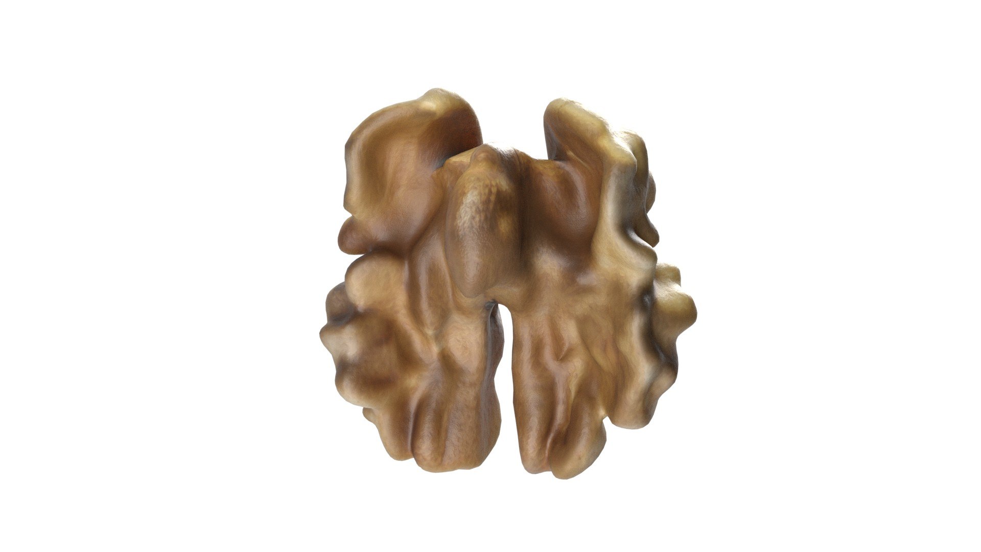 3D Walnut Kernel V3 - TurboSquid 2397362