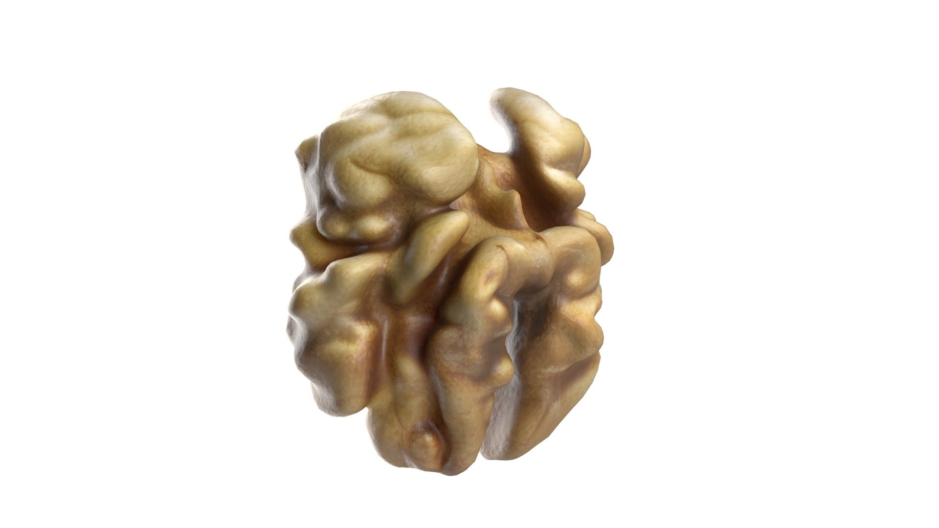 3D Walnut Kernel V3 - TurboSquid 2397362