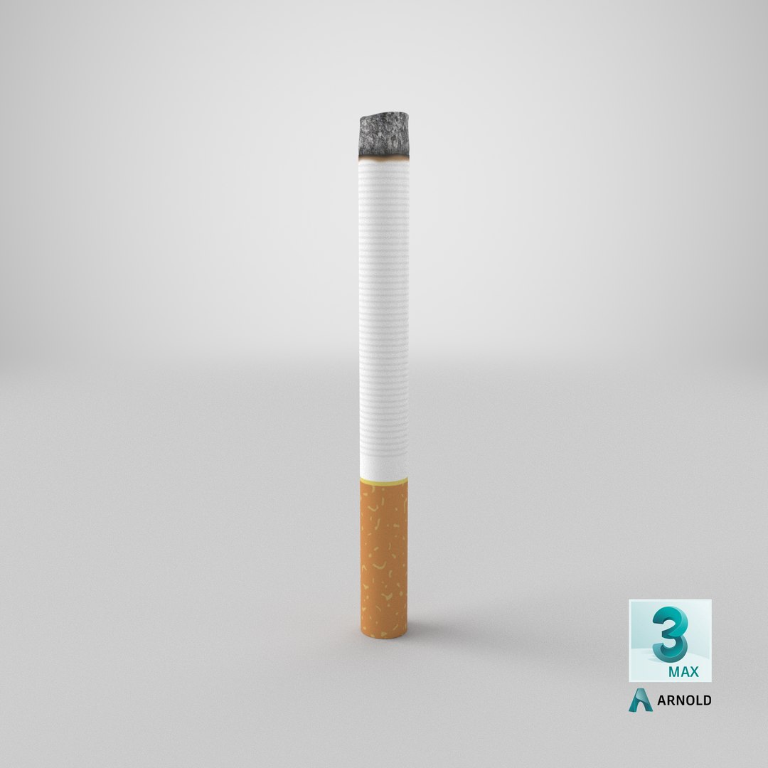 3D Used Cigarette Model - TurboSquid 2022237