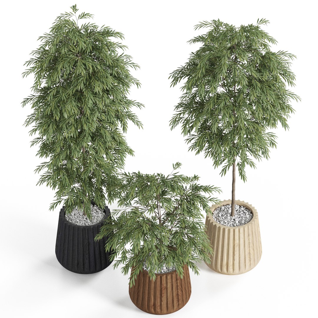 3D Plants Collection 934 Model - TurboSquid 2098829