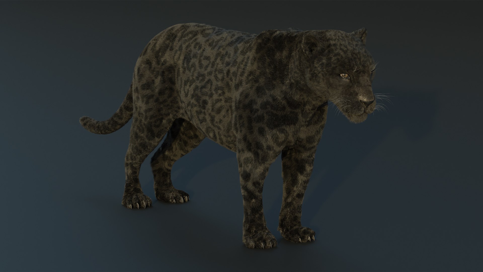 3D Model Panther 3D Blender - TurboSquid 2296937