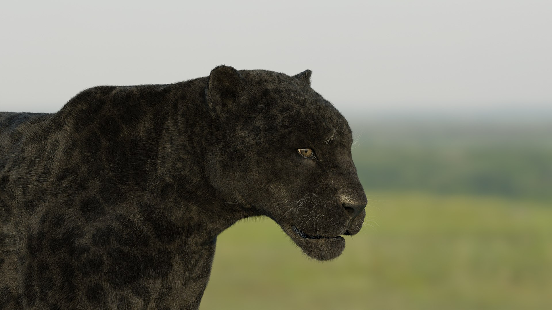 3D Model Panther 3D Blender - TurboSquid 2296937