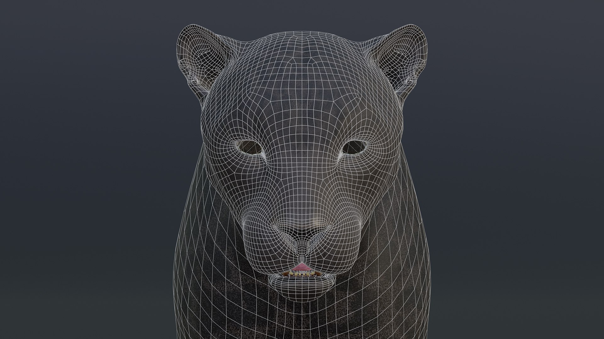 3D Model Panther 3D Blender - TurboSquid 2296937