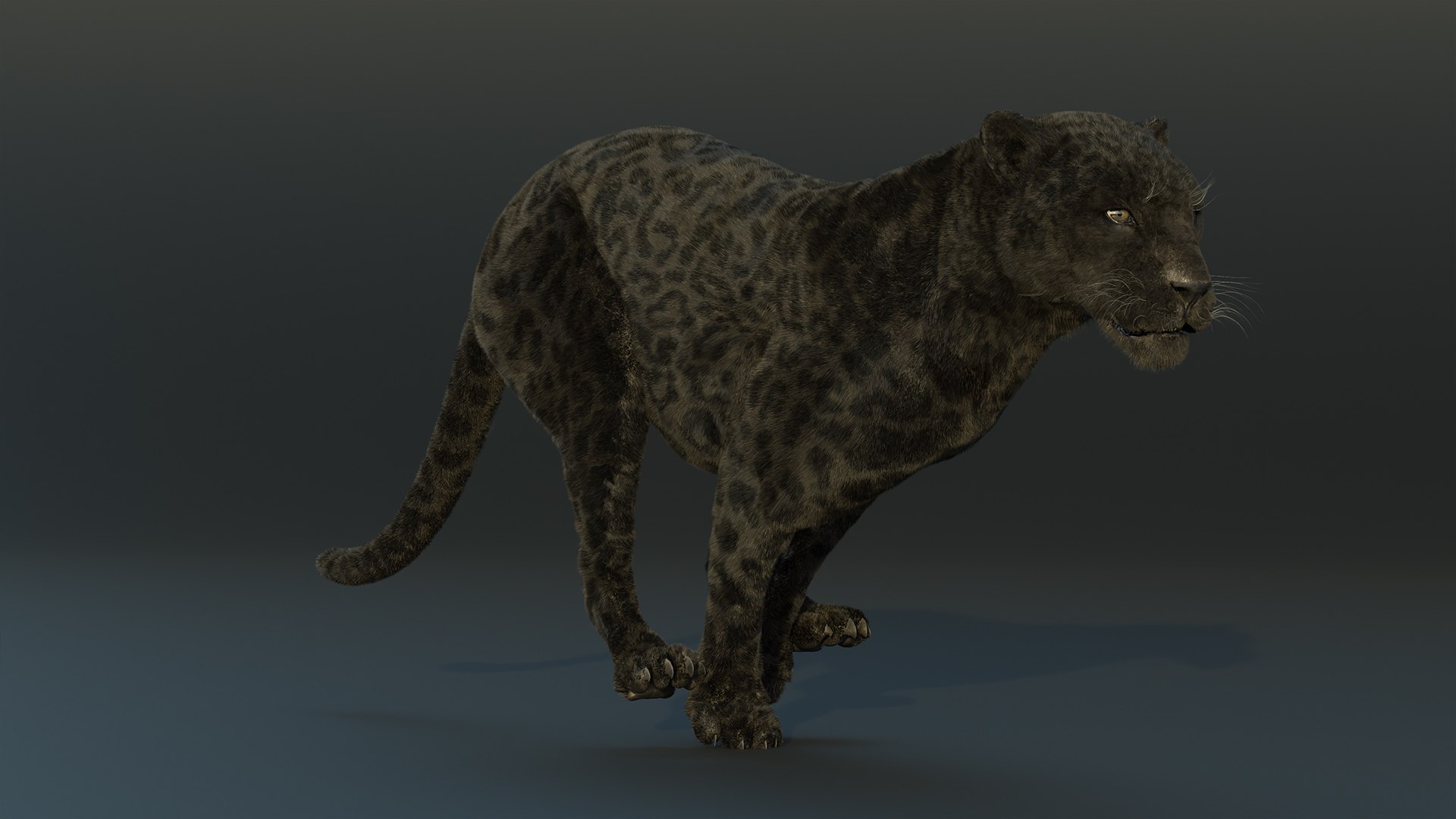 3D Model Panther 3D Blender - TurboSquid 2296937