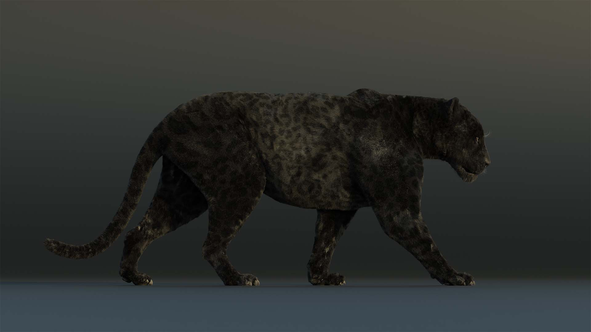 3D Model Panther 3D Blender - TurboSquid 2296937