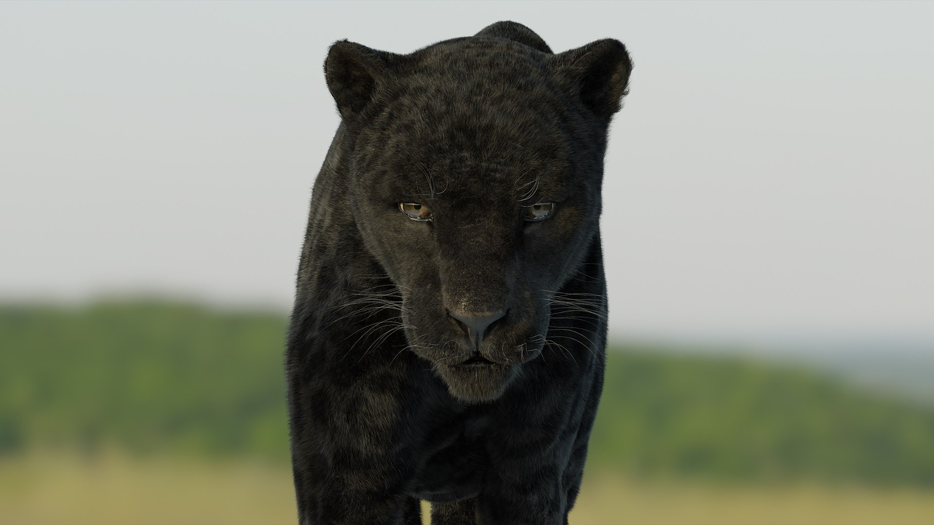 3D Model Panther 3D Blender - TurboSquid 2296937