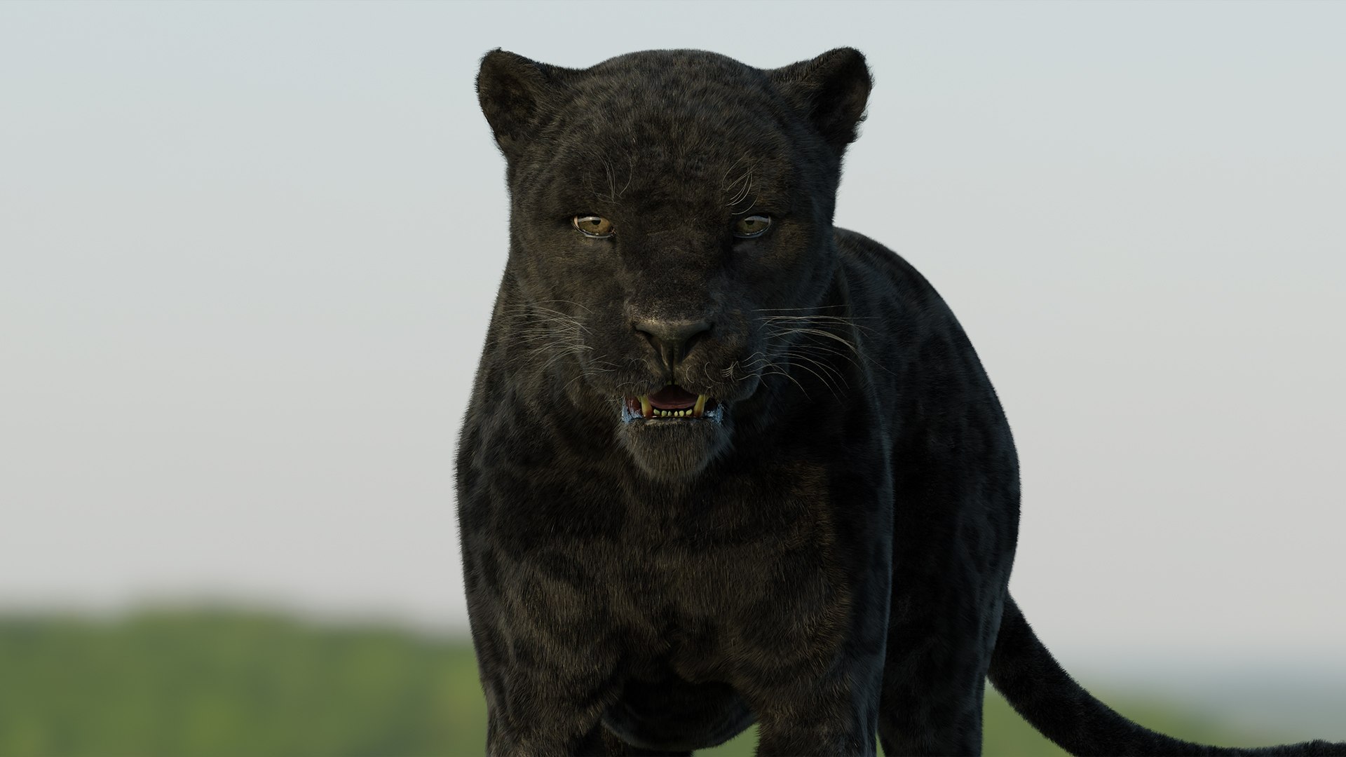 3D Model Panther 3D Blender - TurboSquid 2296937
