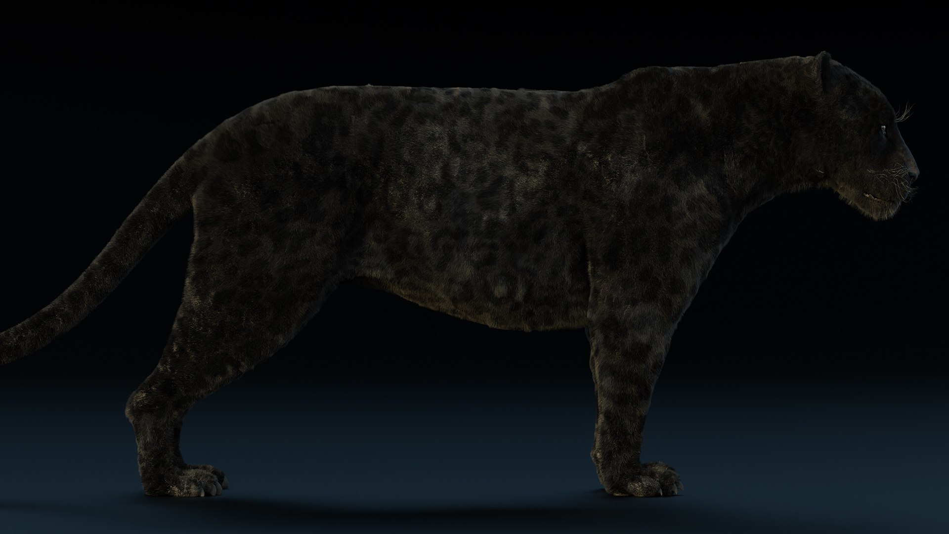 3D Model Panther 3D Blender - TurboSquid 2296937