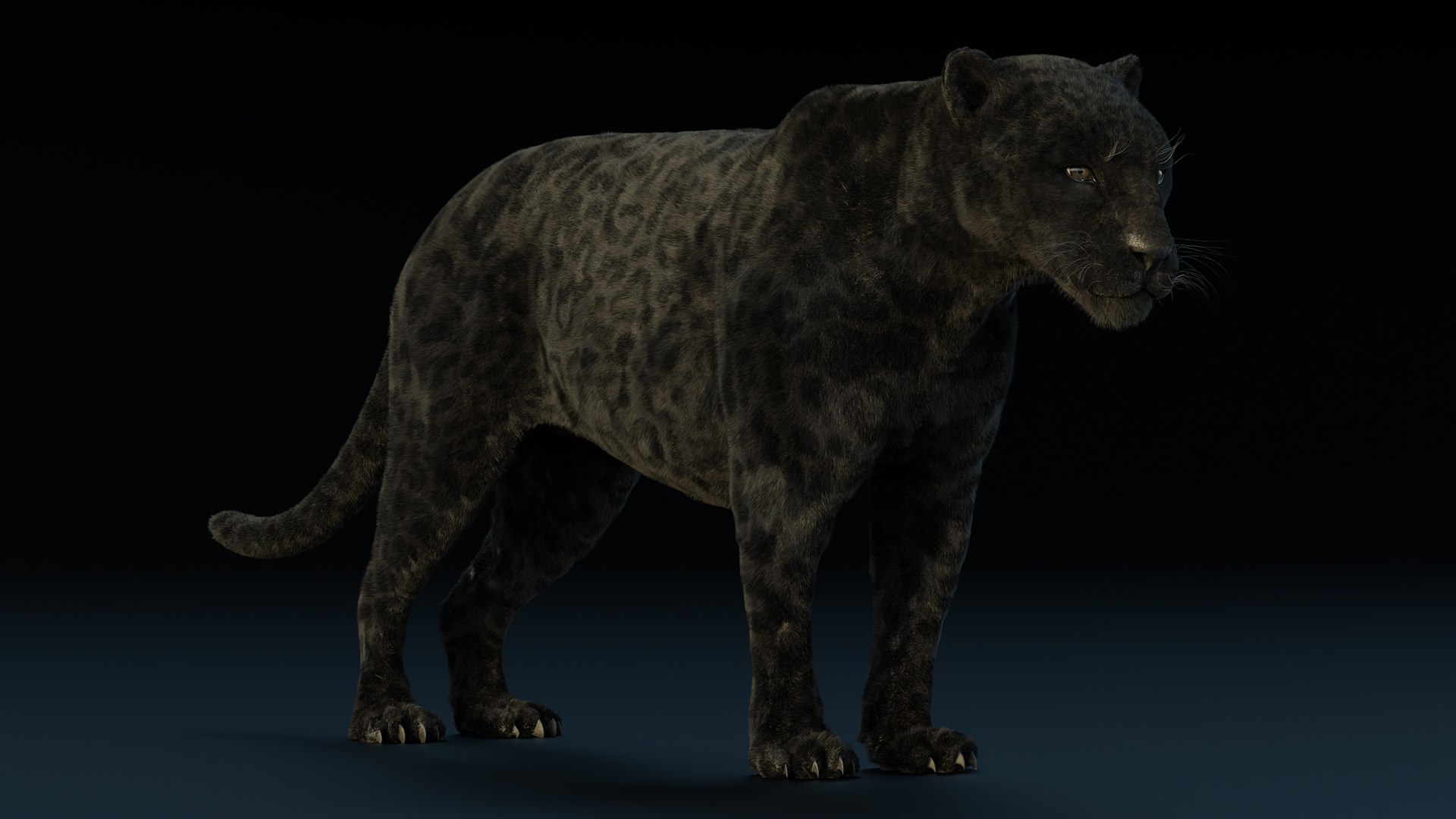 3D Model Panther 3D Blender - TurboSquid 2296937