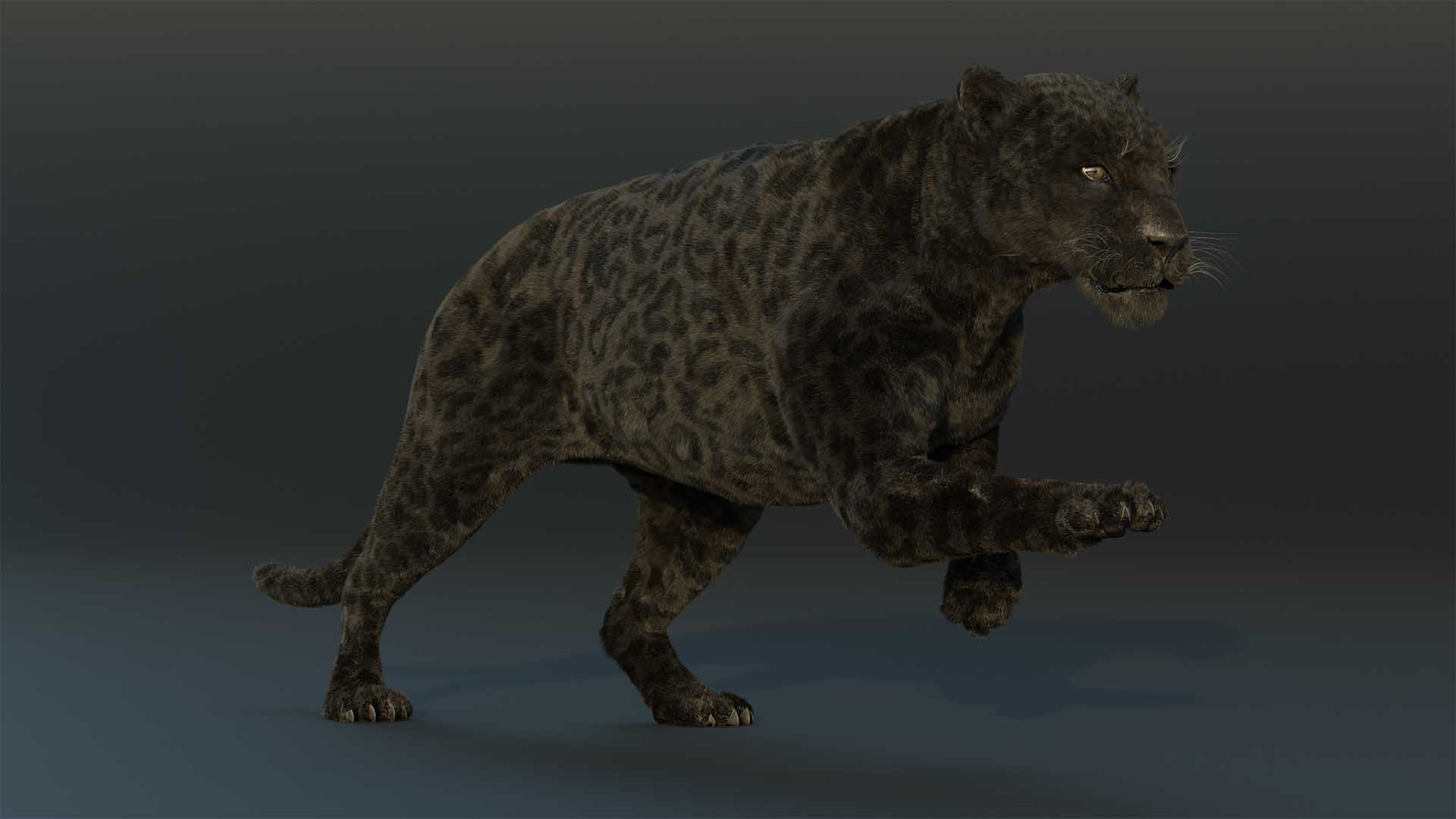 3D Model Panther 3D Blender - TurboSquid 2296937