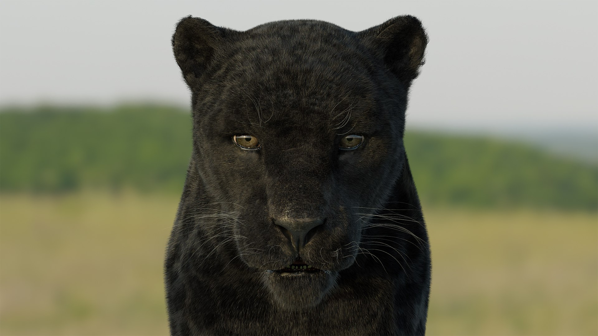 3D Model Panther 3D Blender - TurboSquid 2296937