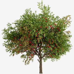 3D model apple tree - TurboSquid 1156197
