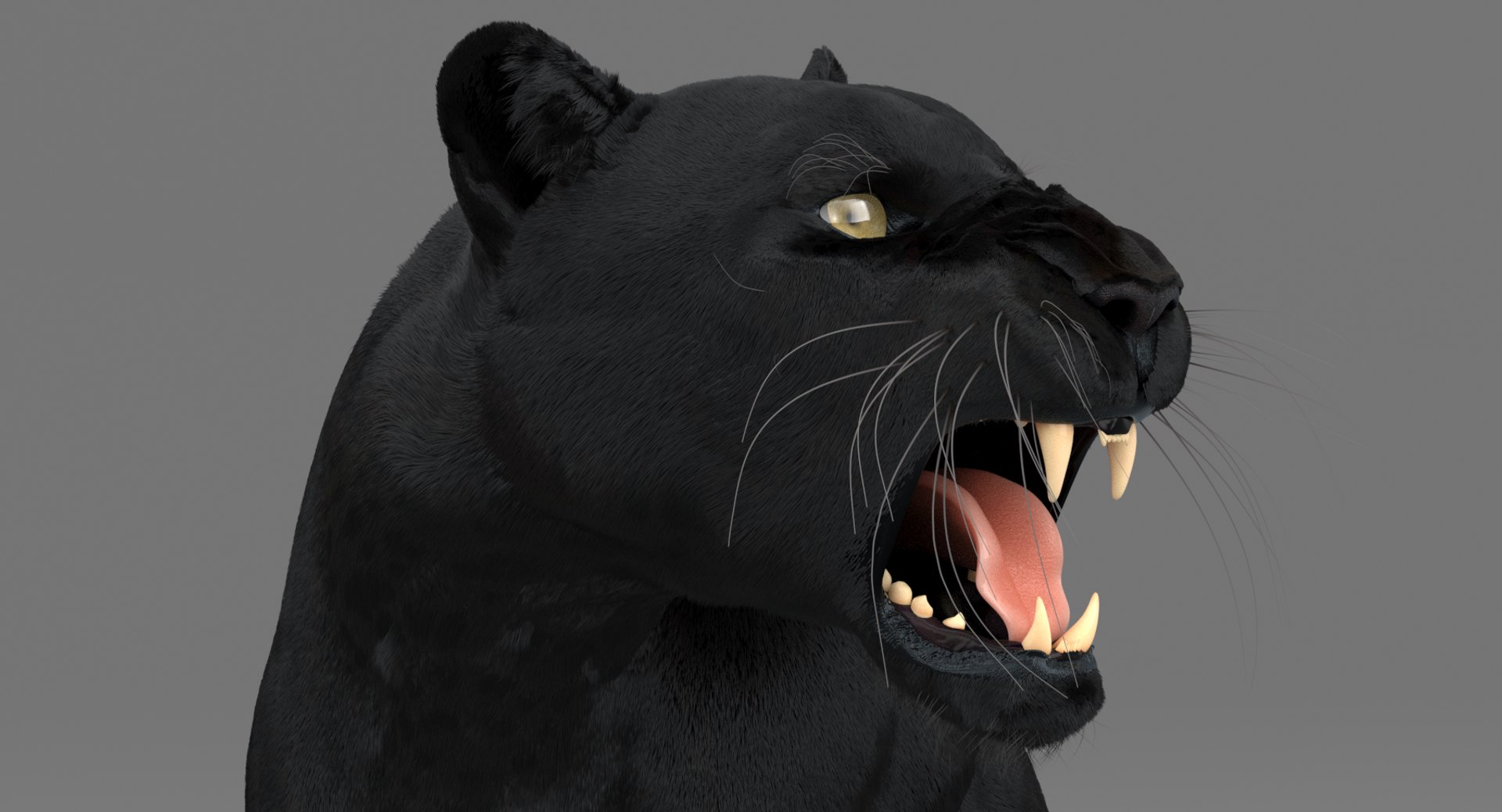 Black panther fur 3D model - TurboSquid 1428317