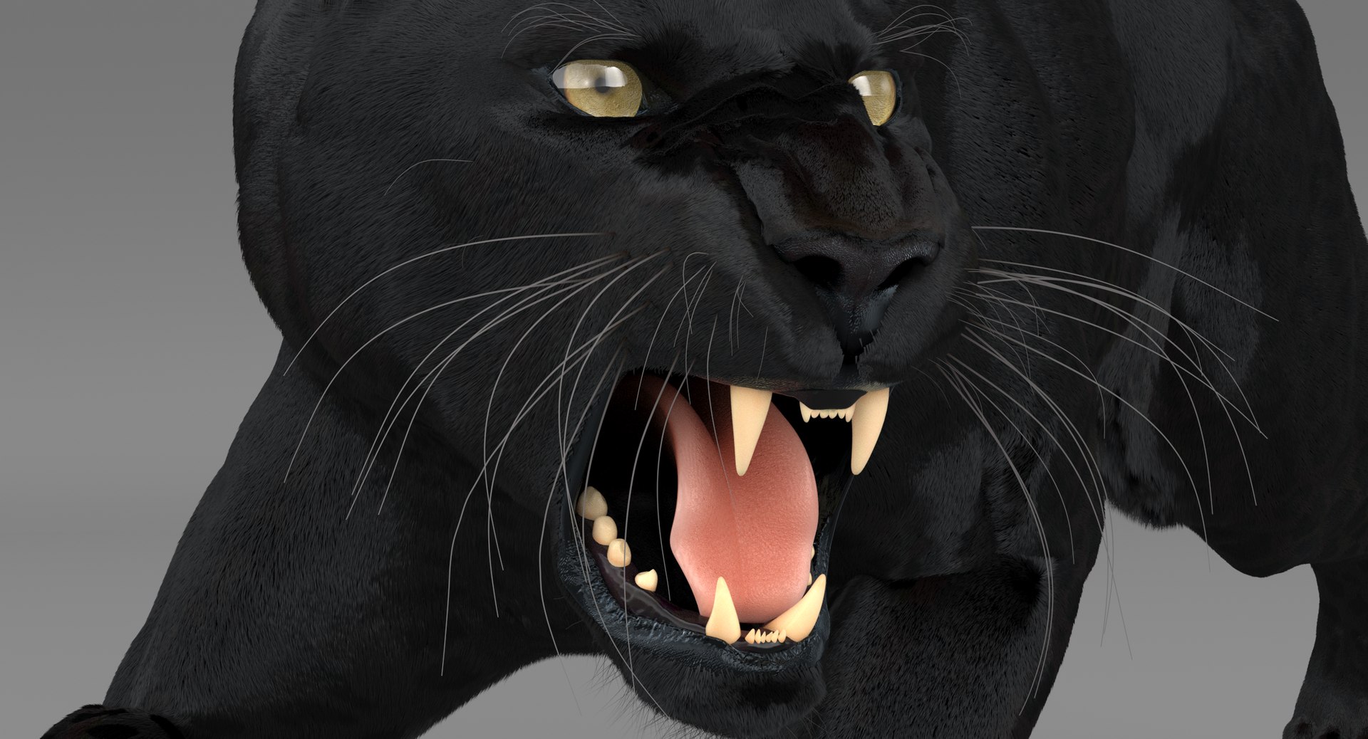 Black panther fur 3D model - TurboSquid 1428317