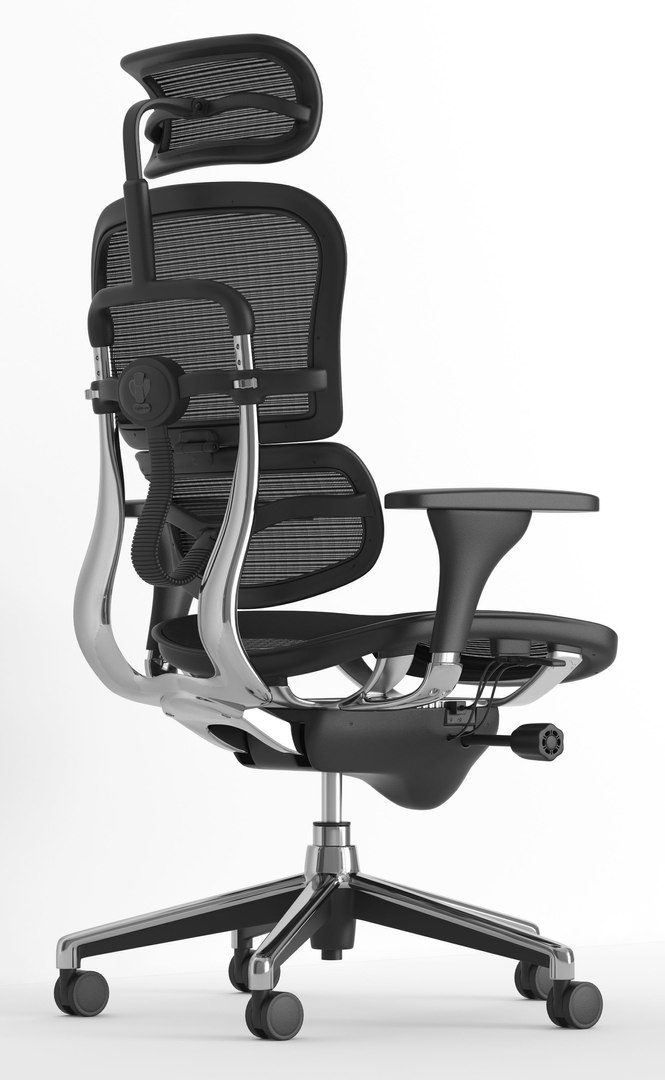 Ergo Human Swivel Chair Model - TurboSquid 1255501