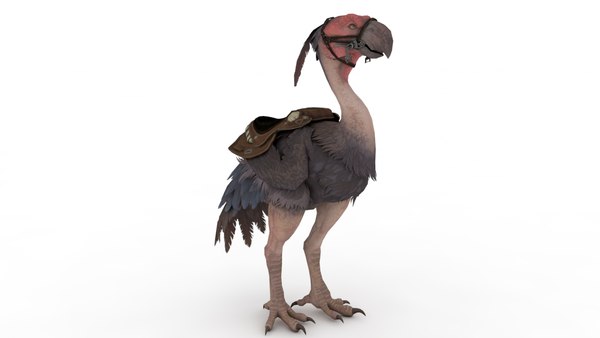 Dodo 3D Models for Download | TurboSquid