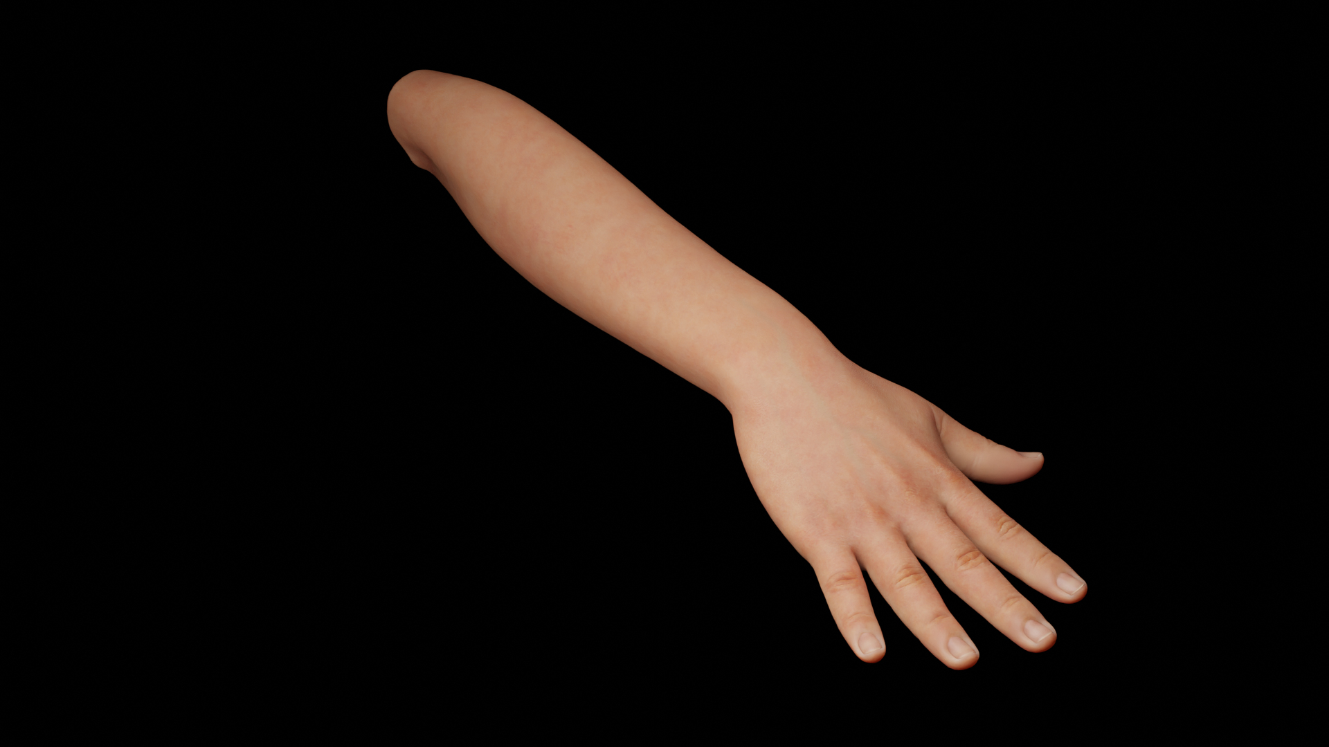 Right Hand Rigged 3D Model - TurboSquid 1940388