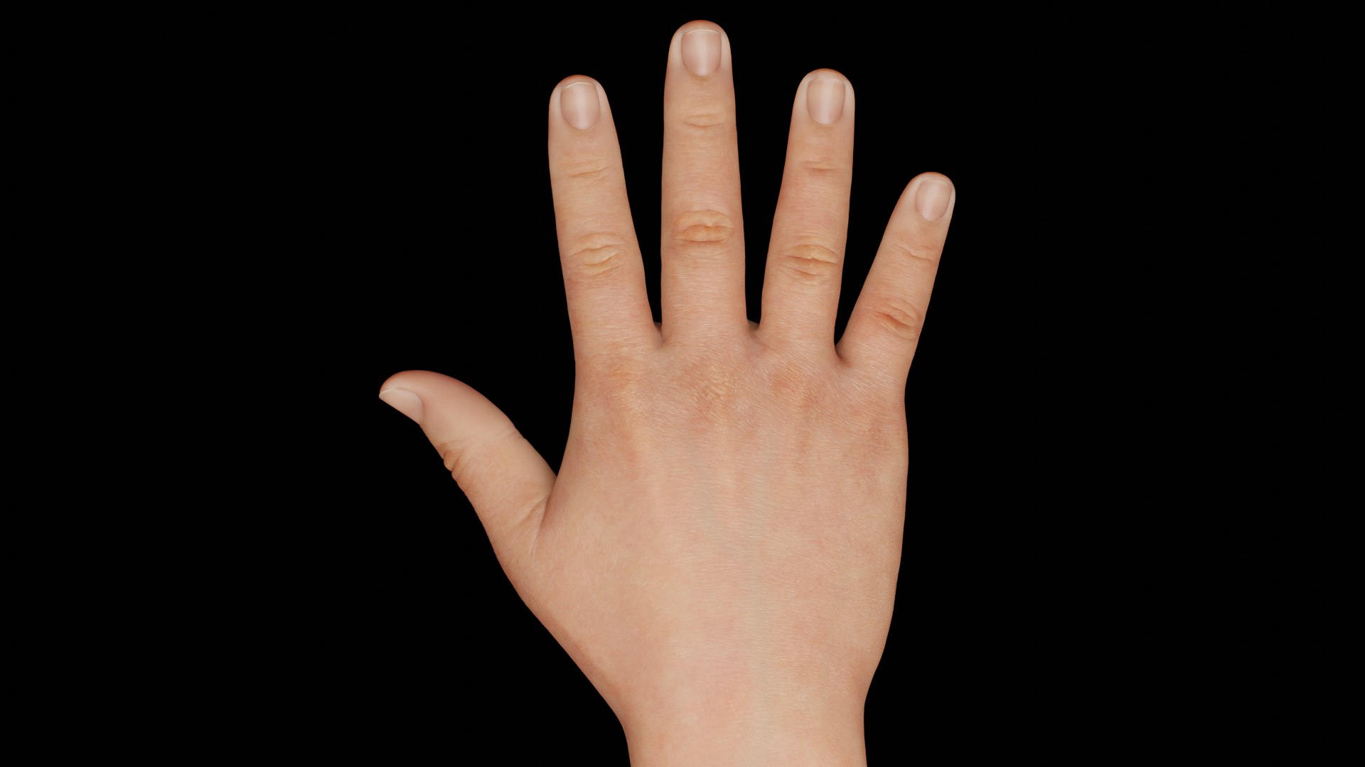 Right Hand Rigged 3D Model - TurboSquid 1940388