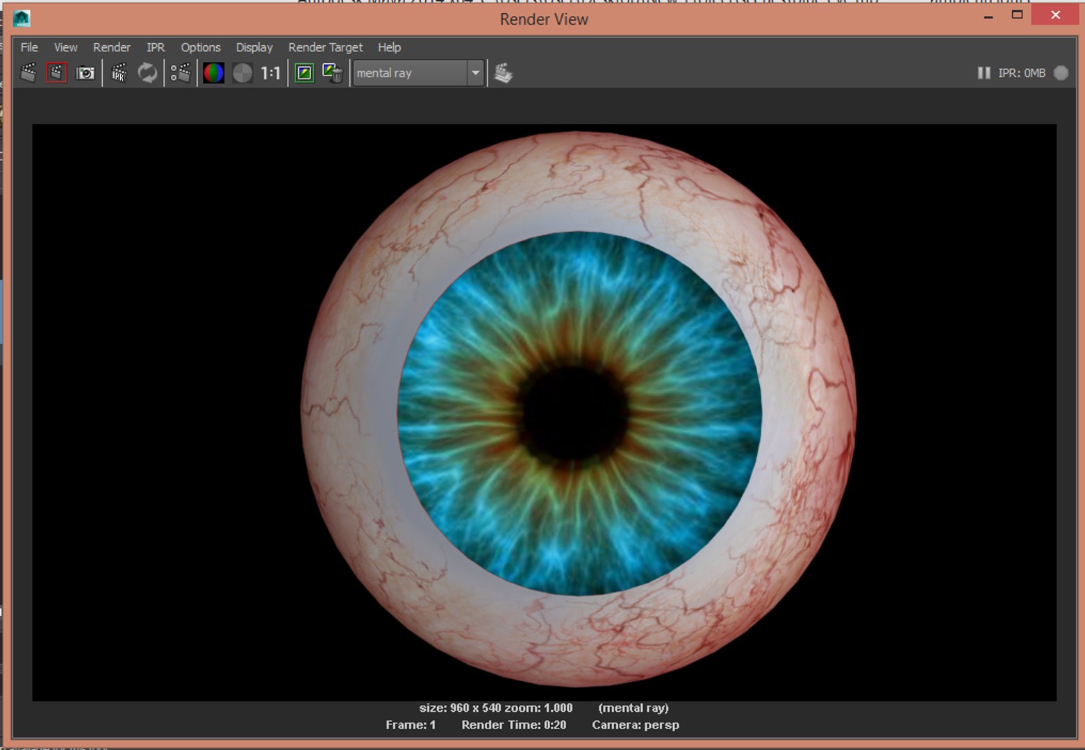 Eye Iris 3d Model