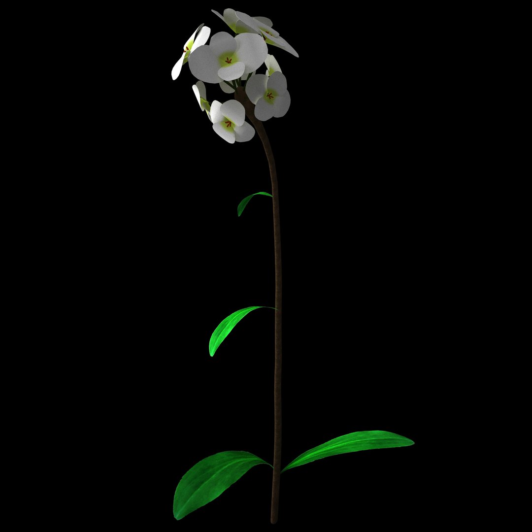 Flowers Open Animation 3D - TurboSquid 1562063