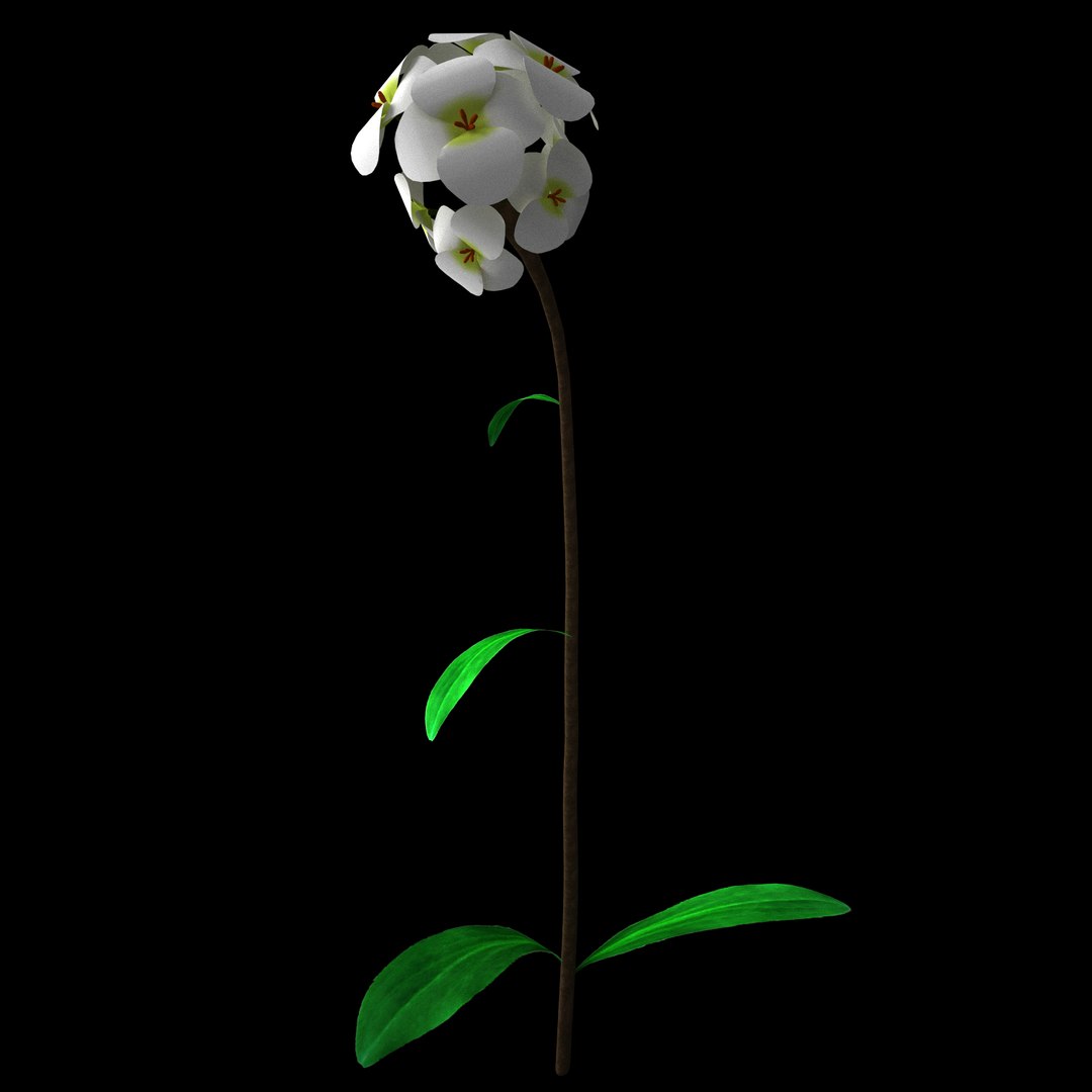 Flowers Open Animation 3D - TurboSquid 1562063