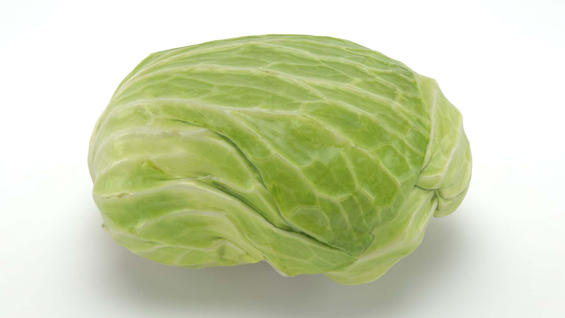 3D Flat Cabbage model - TurboSquid 2106669
