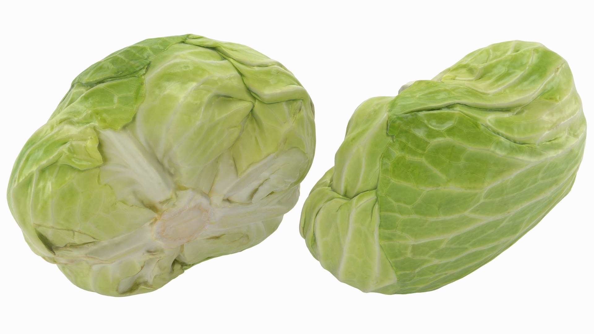 3D Flat Cabbage model - TurboSquid 2106669