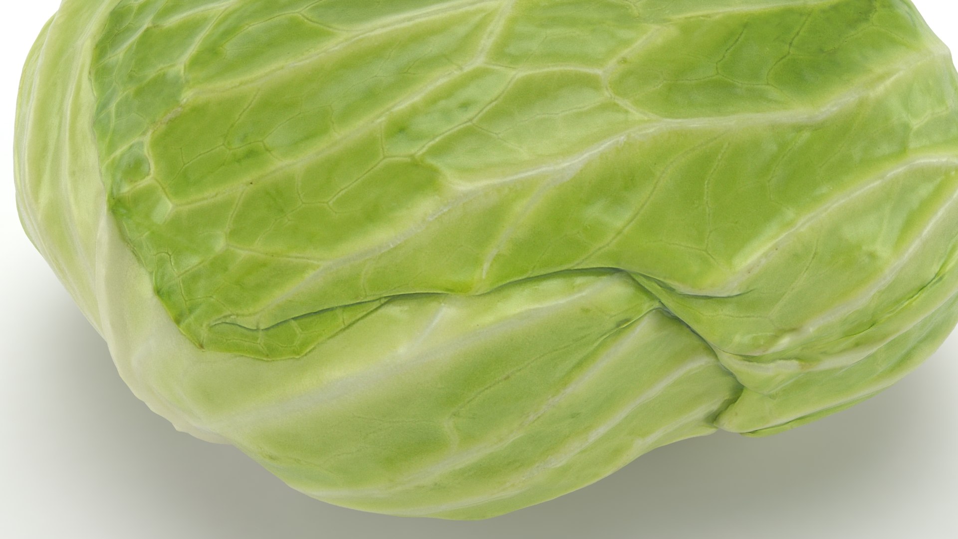 3D Flat Cabbage model - TurboSquid 2106669