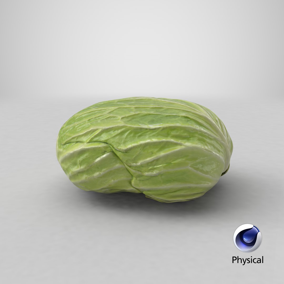 3D Flat Cabbage model - TurboSquid 2106669