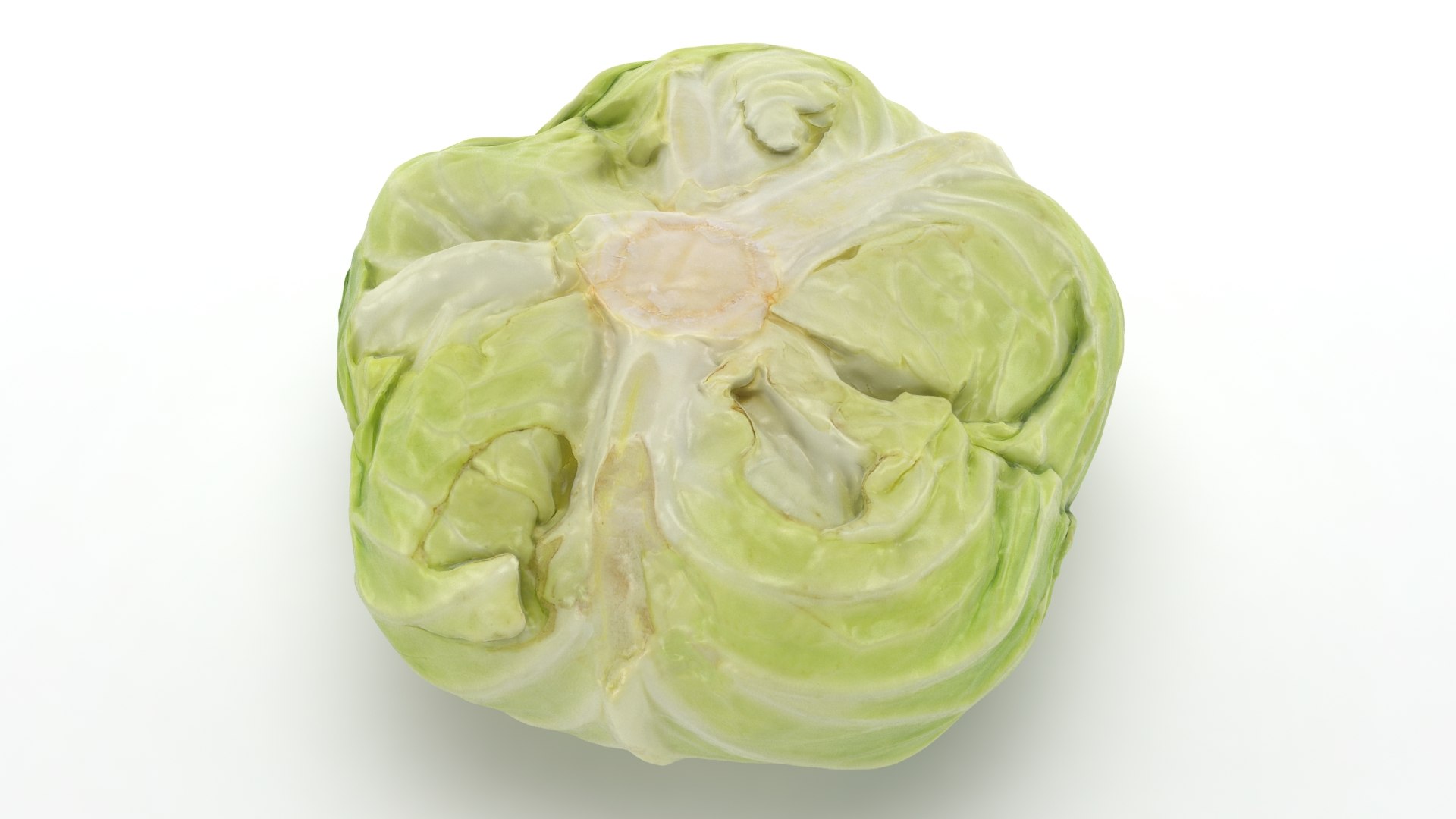 3D Flat Cabbage model - TurboSquid 2106669