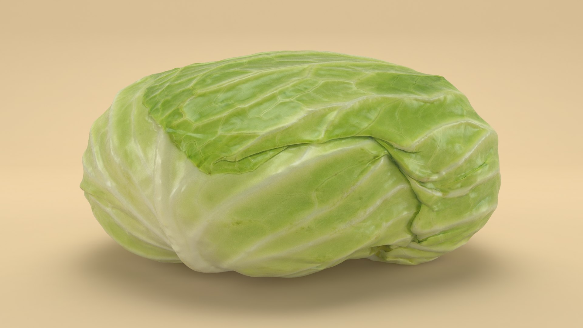 3D Flat Cabbage model - TurboSquid 2106669