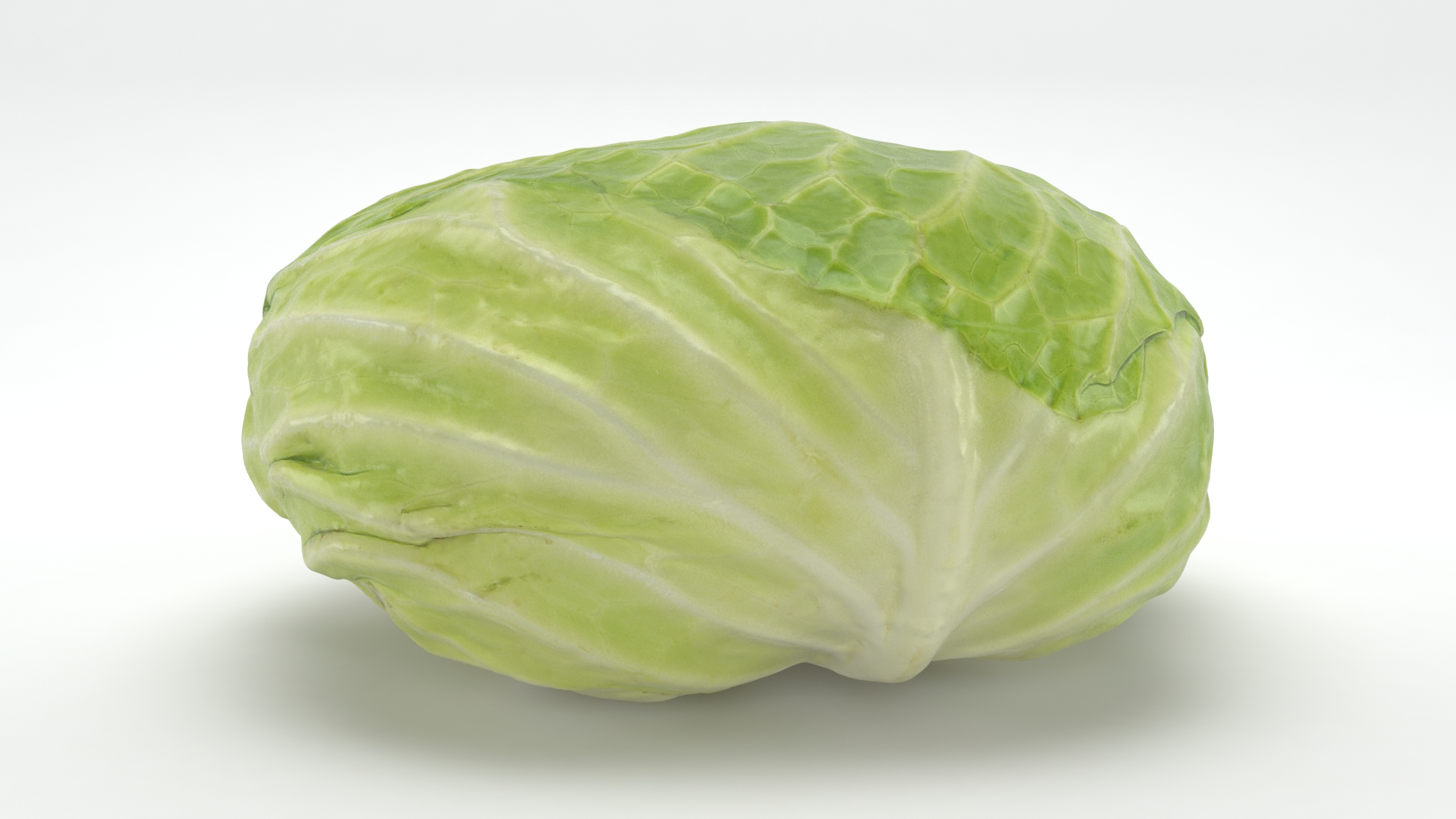 3D Flat Cabbage model - TurboSquid 2106669