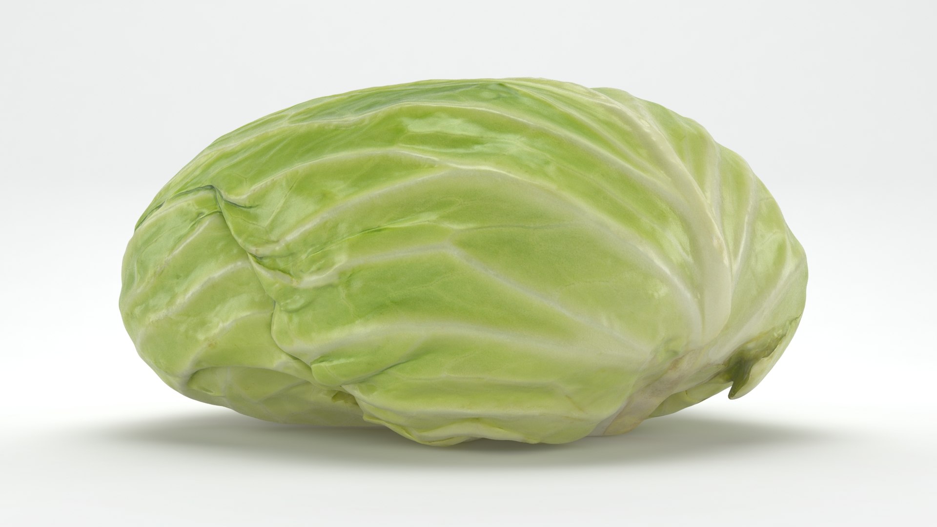 3D Flat Cabbage model - TurboSquid 2106669
