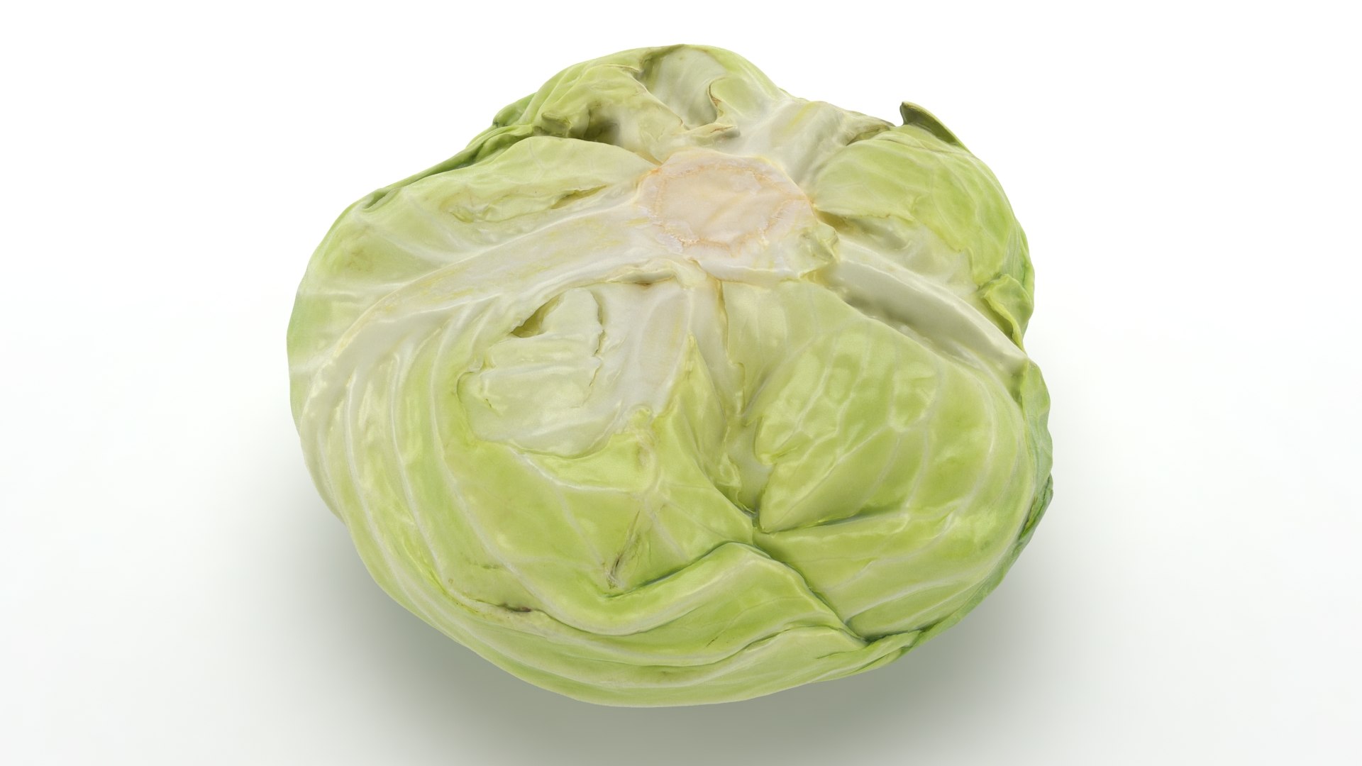 3D Flat Cabbage model - TurboSquid 2106669