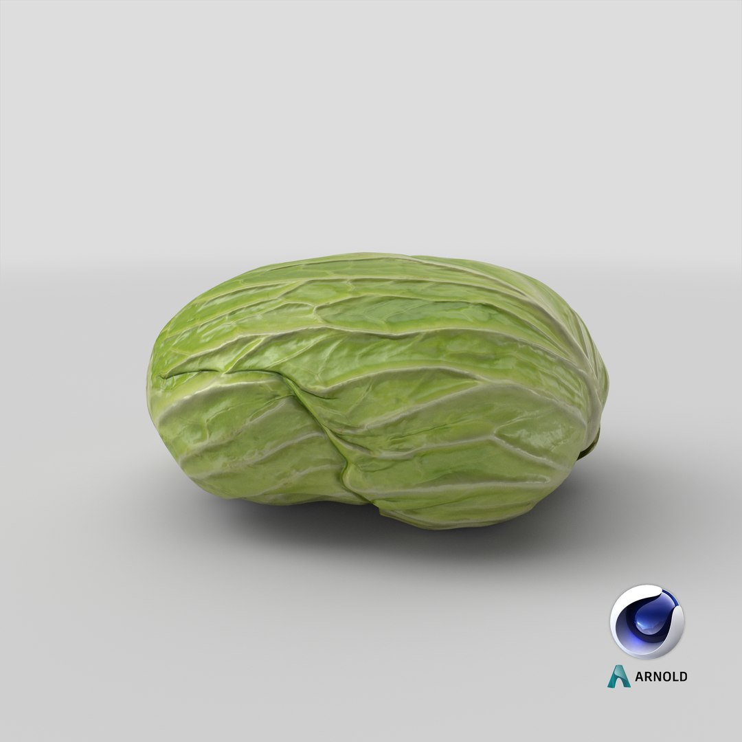 3D Flat Cabbage model - TurboSquid 2106669