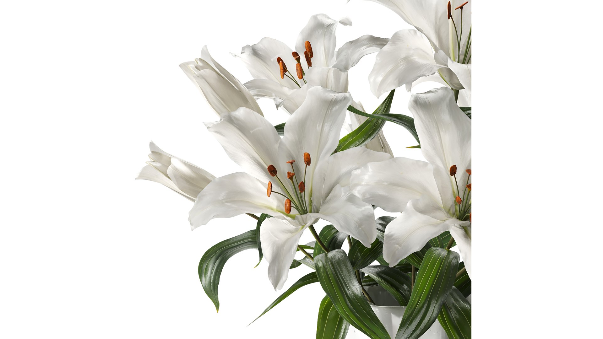 Decorative Set Bouquet Lilies 3D Model - TurboSquid 2331041