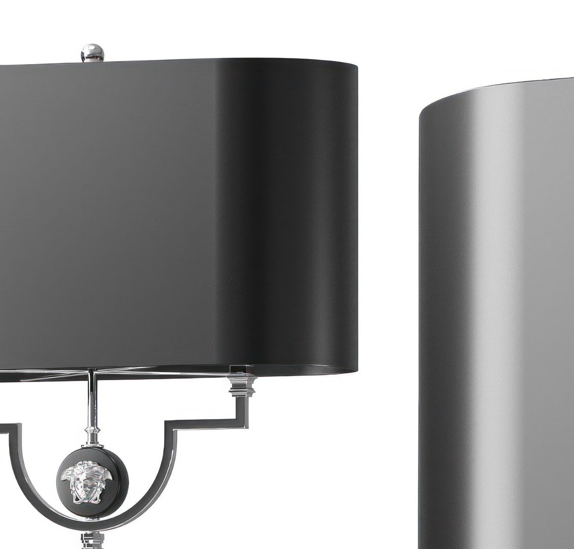 Versace Home Via Gesu Floor Lamp 3D Model - TurboSquid 2110985