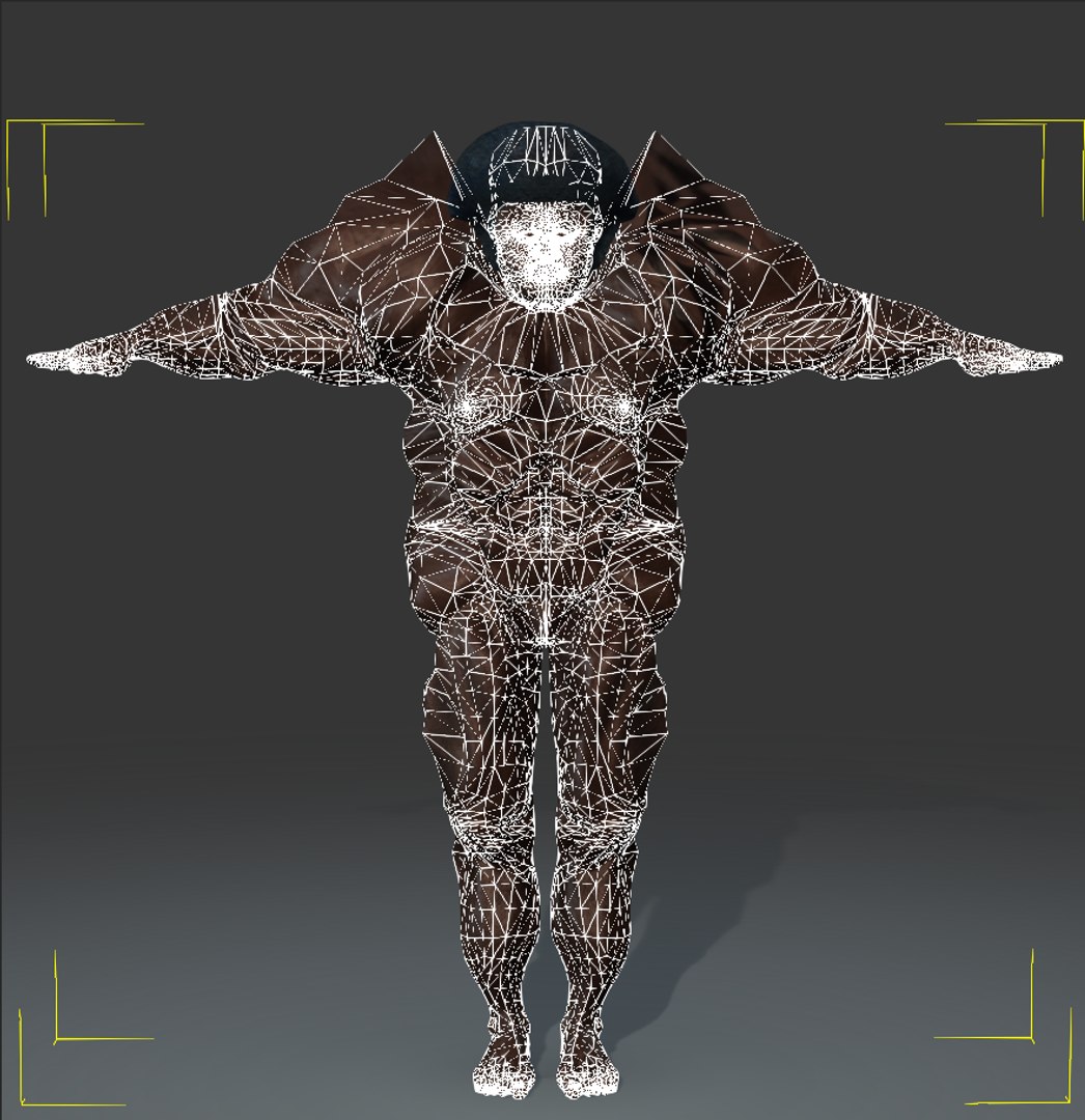 3d Rigged High-poly Model