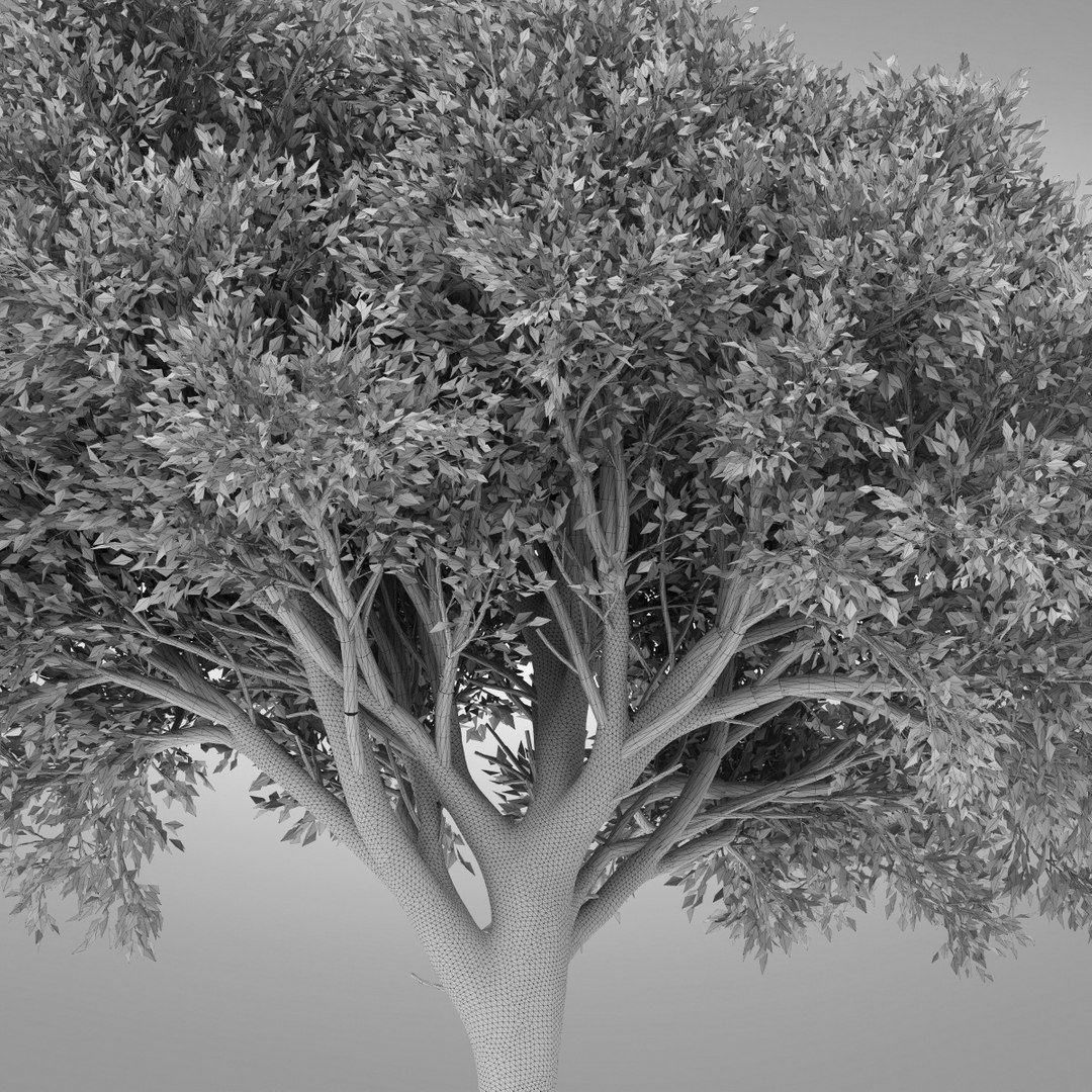 hi realistic series tree 3d model