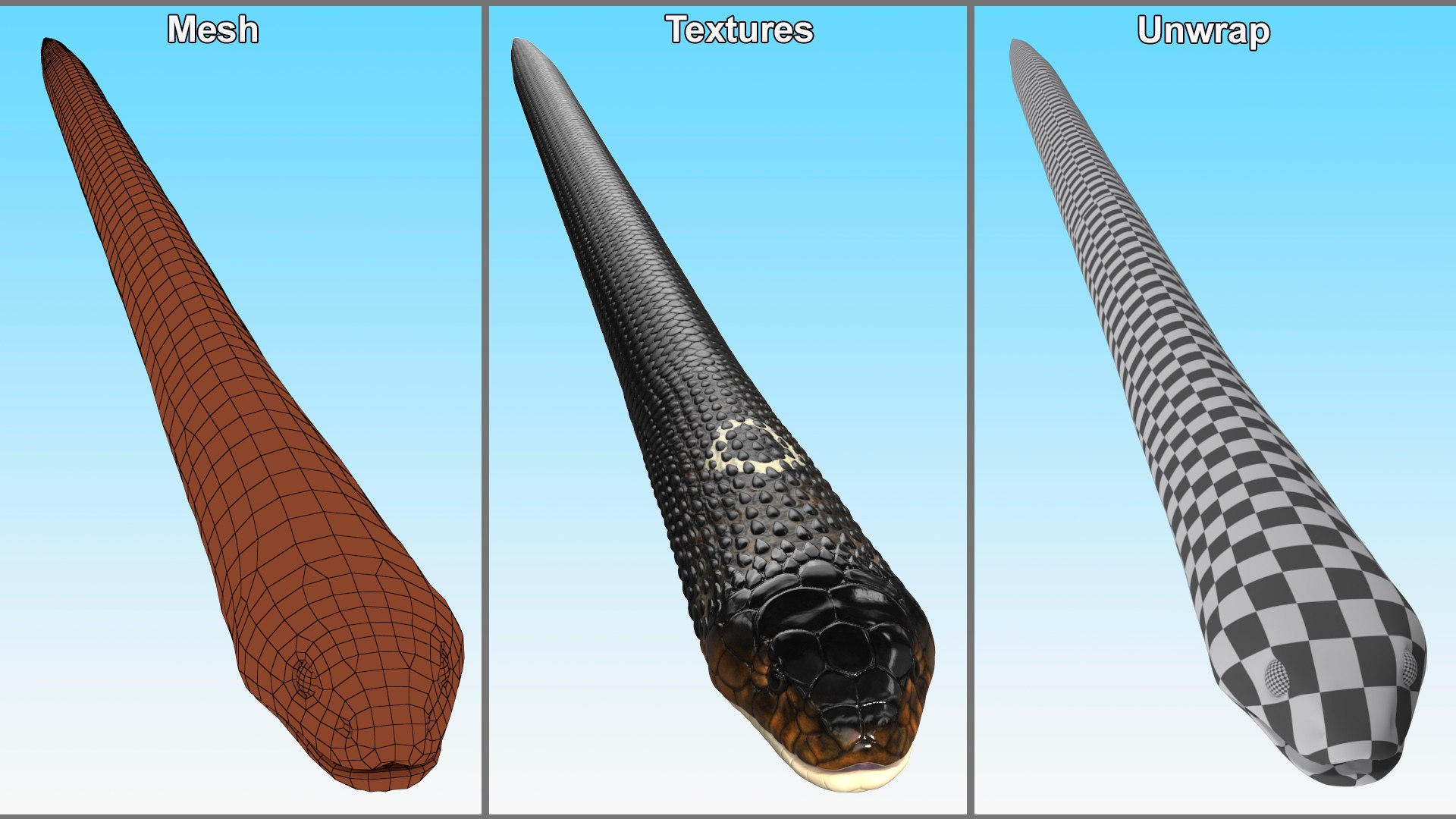 Attack Dark Skin Cobra Animated Rigged 3D Model - TurboSquid 2413248