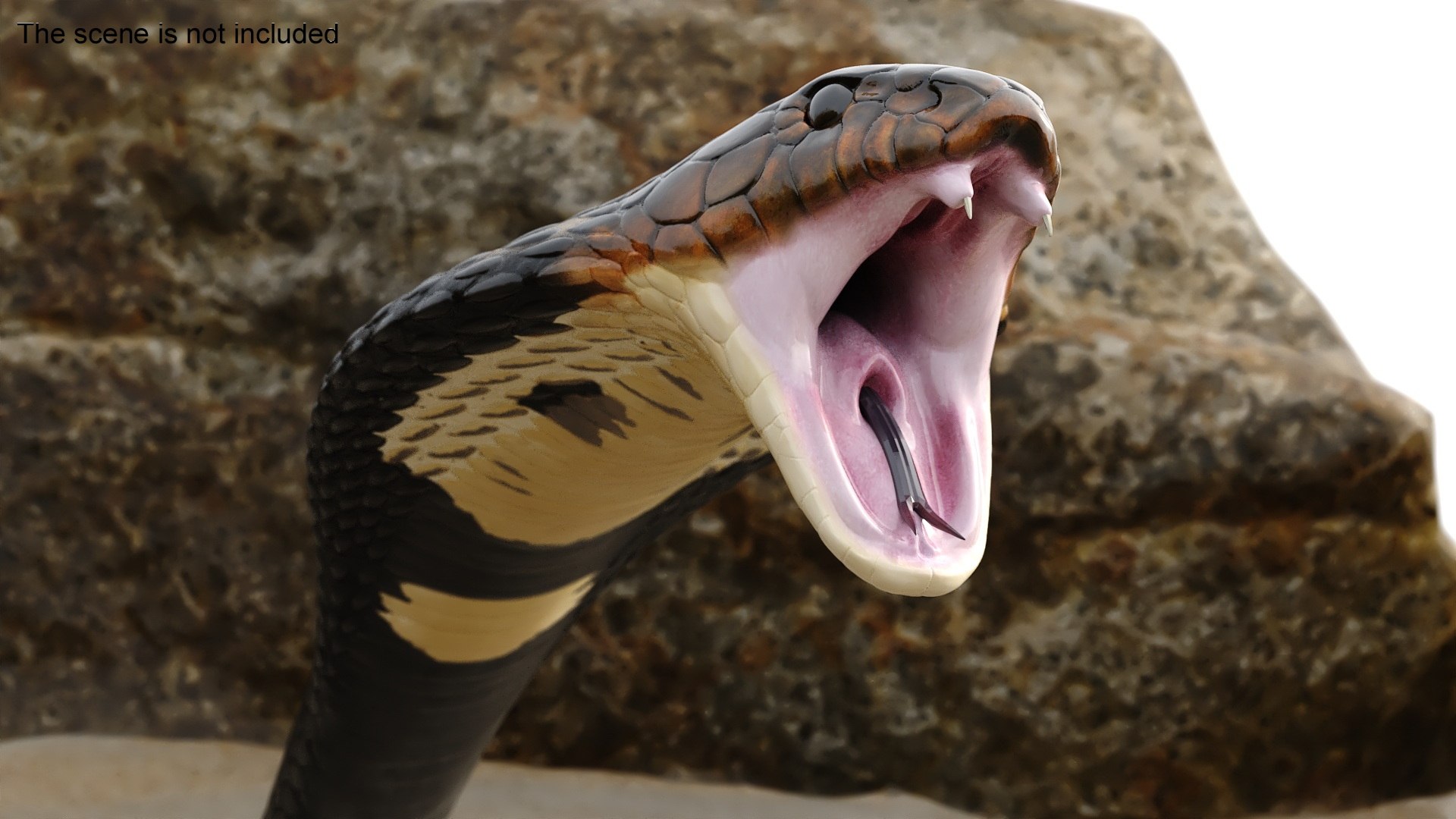 Attack Dark Skin Cobra Animated Rigged 3D Model - TurboSquid 2413248