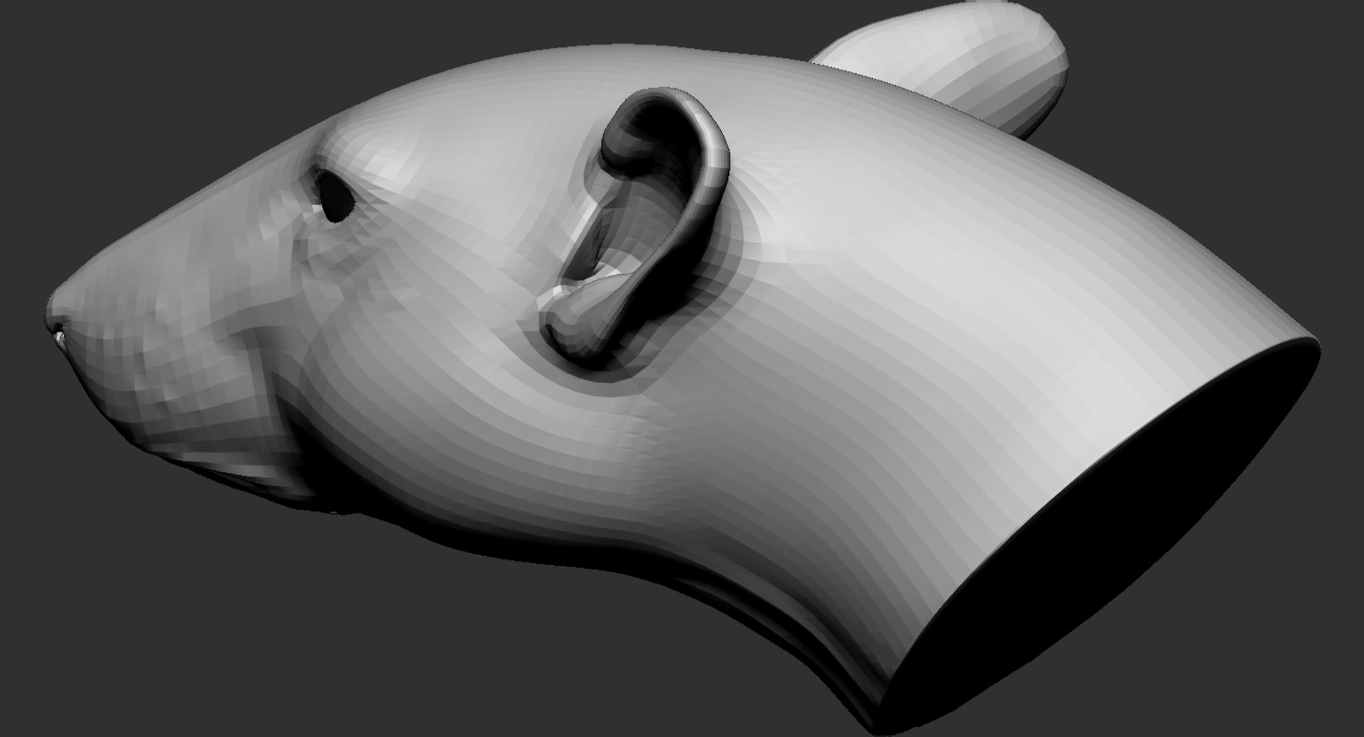 3D Rat Head Base Mesh Model - TurboSquid 1427955