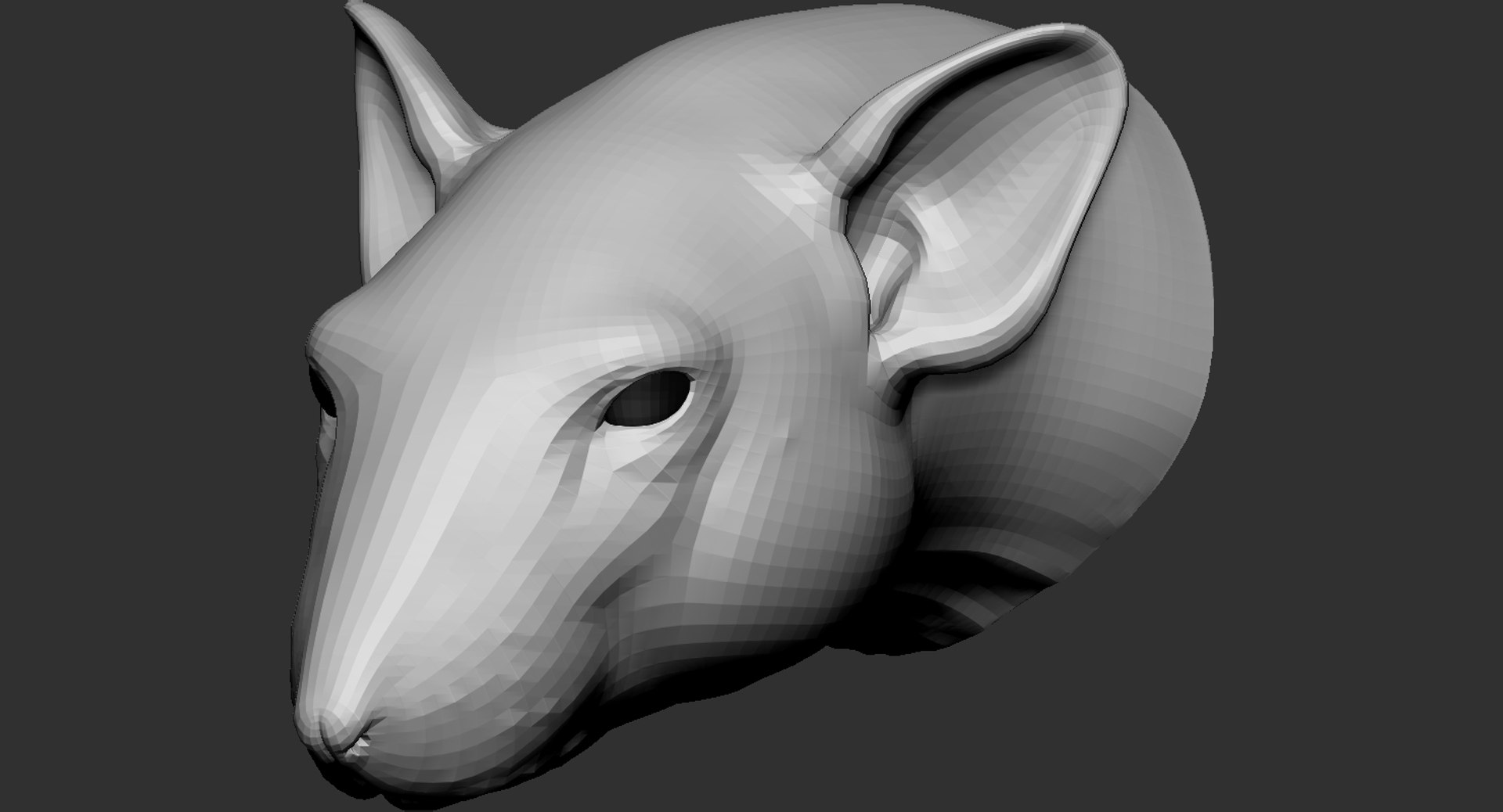 3D Rat Head Base Mesh Model - TurboSquid 1427955