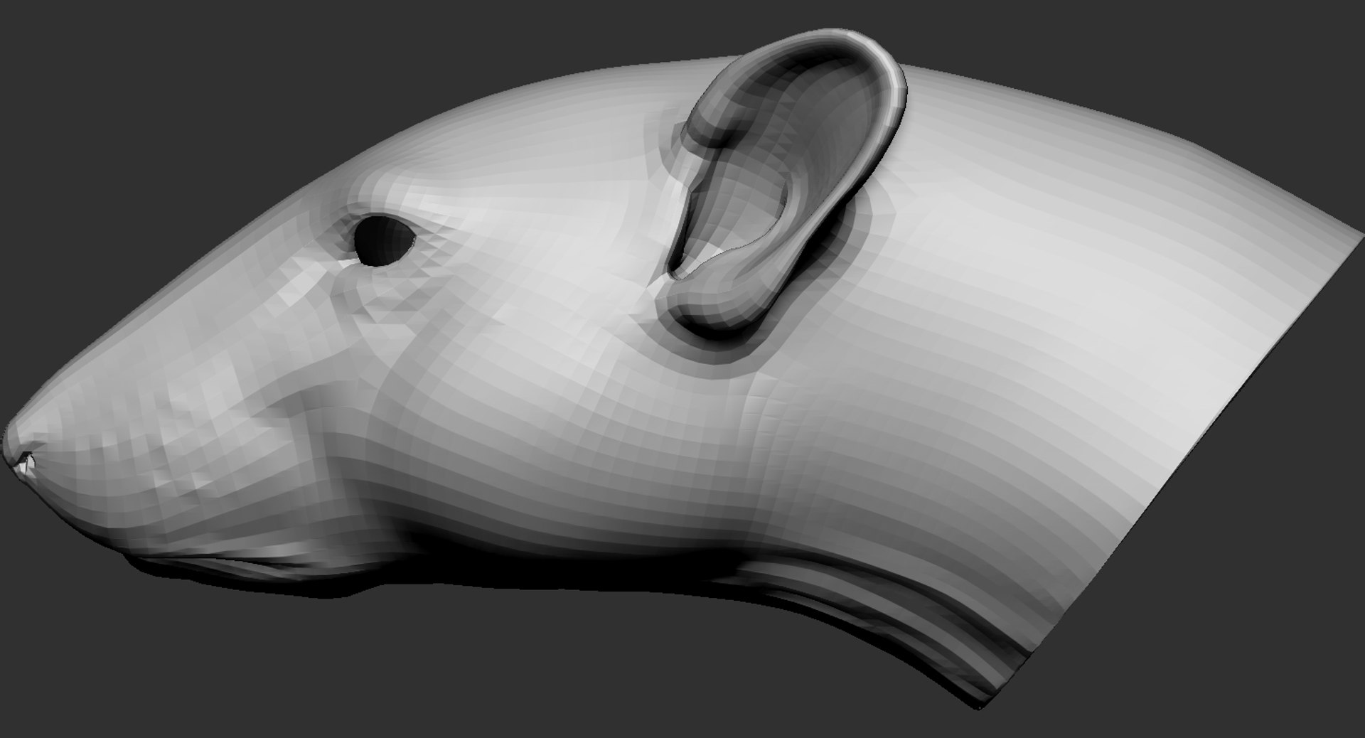 3D Rat Head Base Mesh Model - TurboSquid 1427955