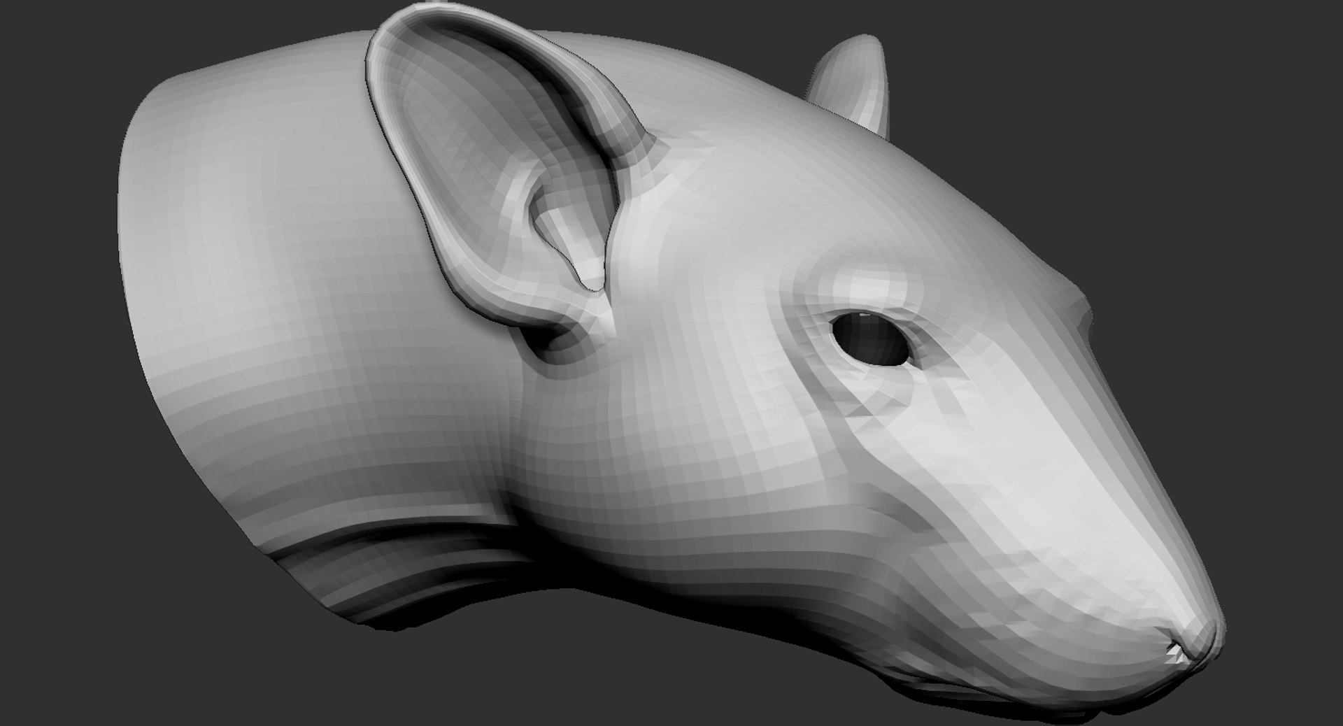 3D Rat Head Base Mesh Model - TurboSquid 1427955