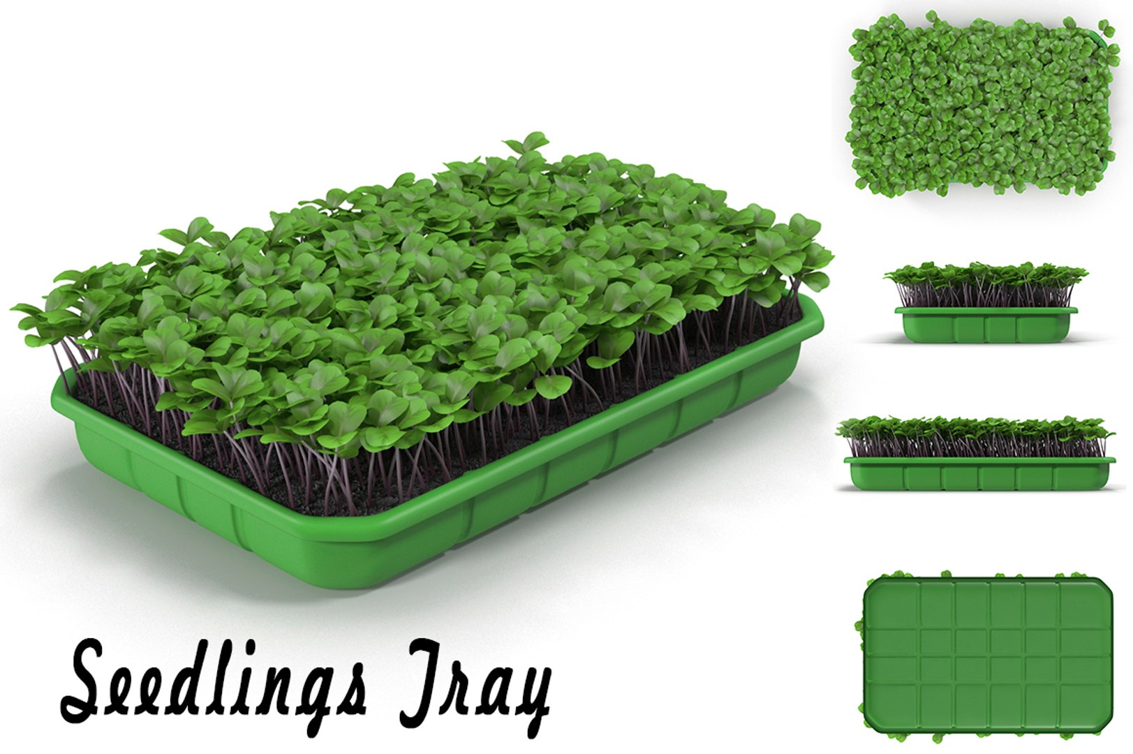 Seedling Tray 3d Max